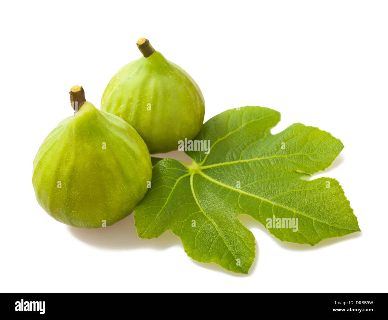 Two Figs Growing On Fig High Resolution Stock Photography and Images ...