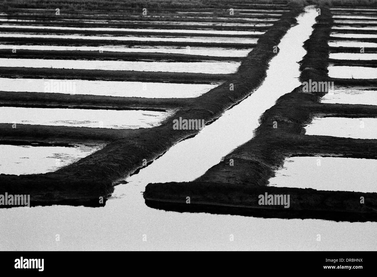 Salt pans, Vasai, Thana, Mumbai, Maharashtra, India, 1978 Stock Photo ...