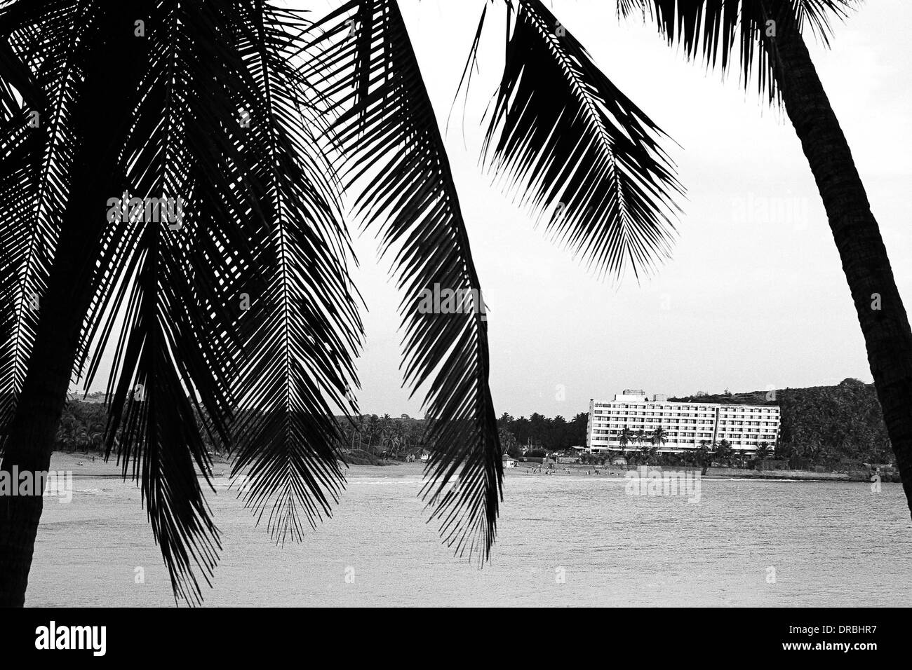 Bogmalo beach hotel and palm tree, Goa, India, 1981 Stock Photo - Alamy