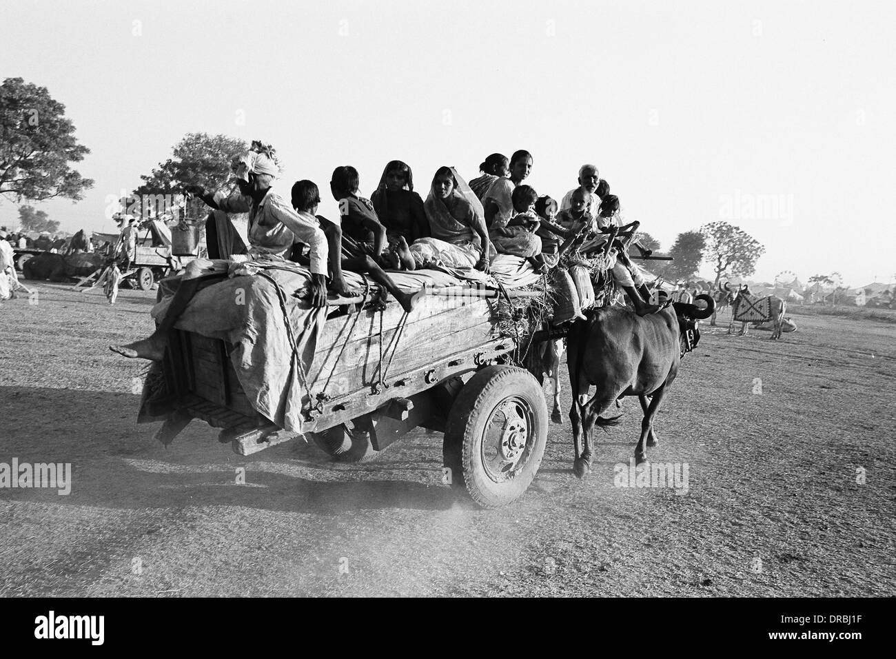 Family on bullock cart, Vautha fair, Gujarat, India, 1983 Stock Photo ...