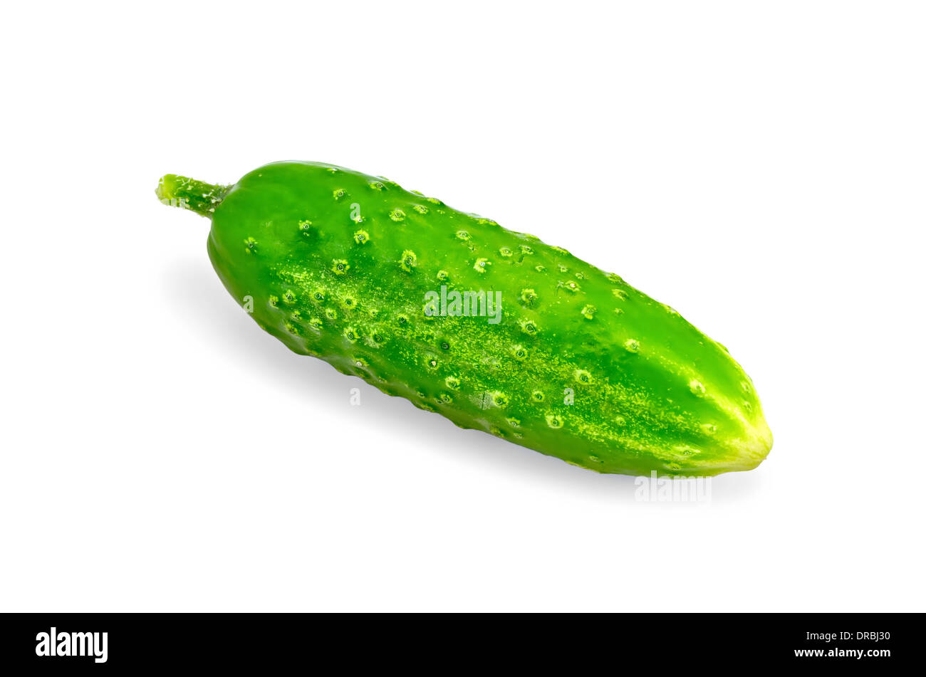 One green cucumber isolated on white background Stock Photo - Alamy