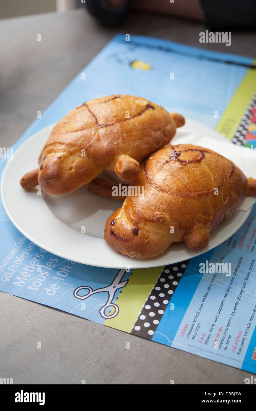 Smiling tortoise hi-res stock photography and images - Alamy
