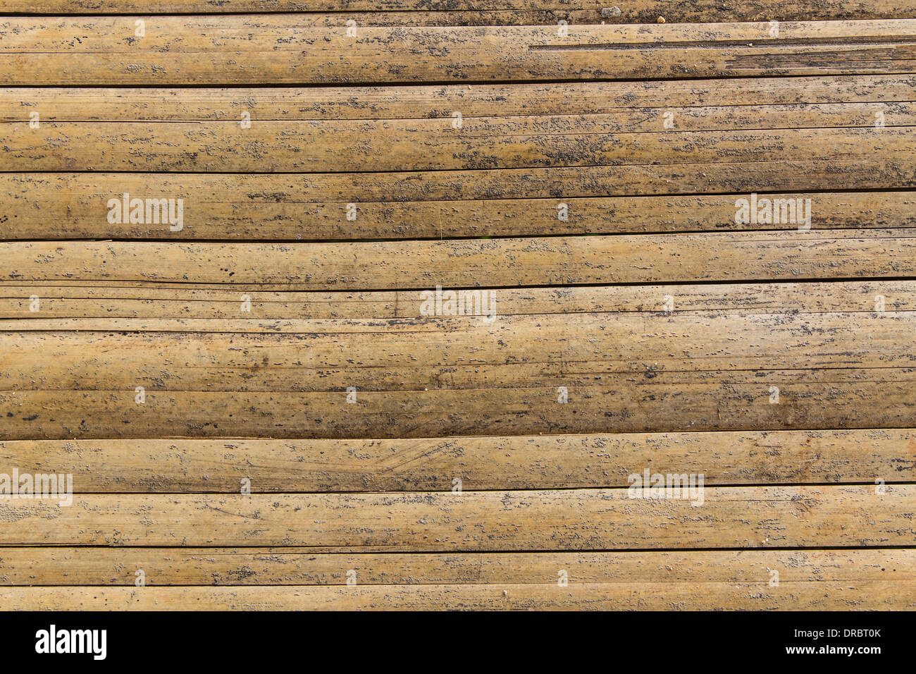 Bamboo texture hi-res stock photography and images - Alamy