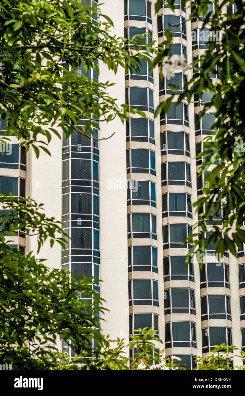 Tall buildings with trees hi-res stock photography and images - Alamy
