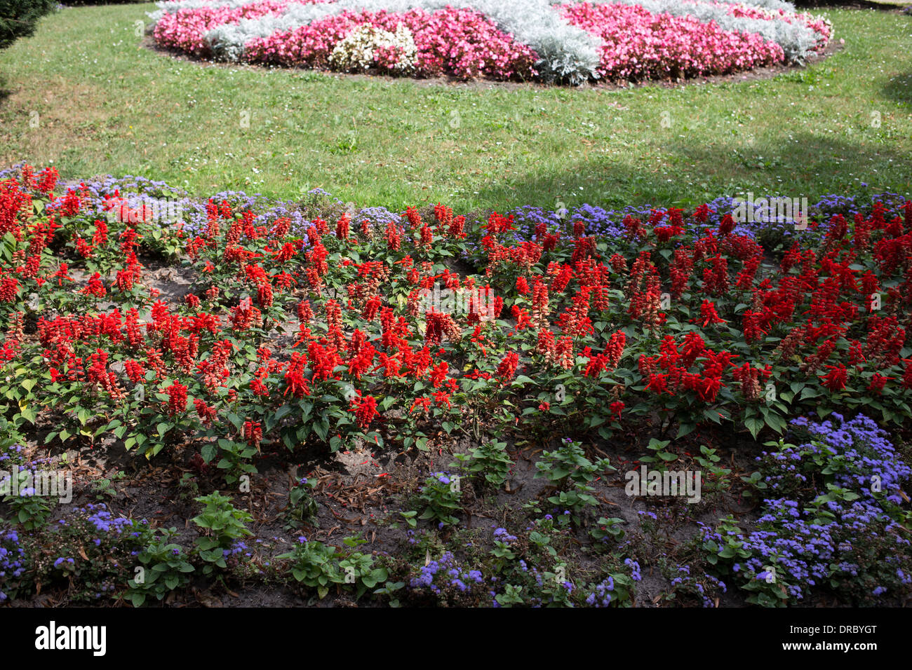 Nice park in Zamosc city Stock Photo - Alamy