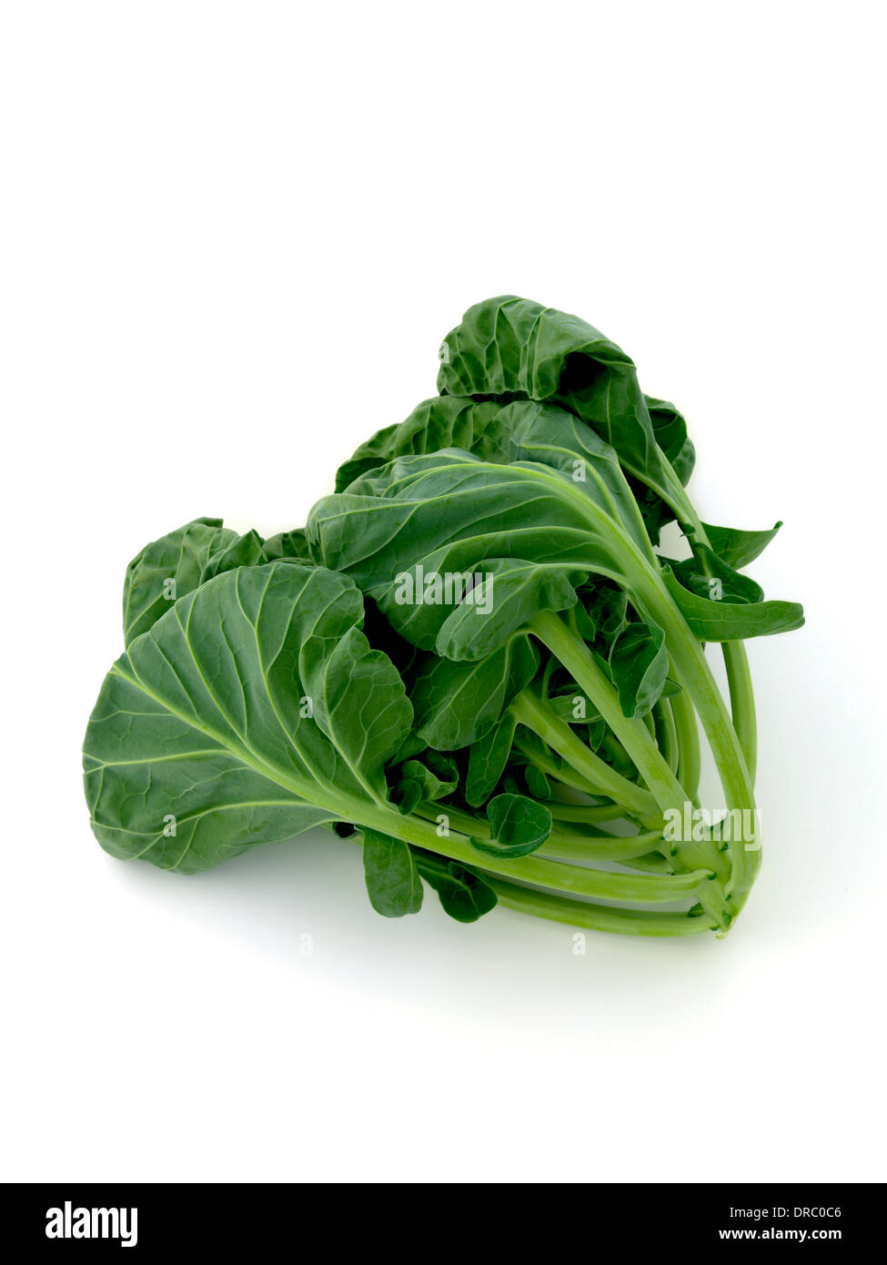 Sprout tops cut hi-res stock photography and images - Alamy