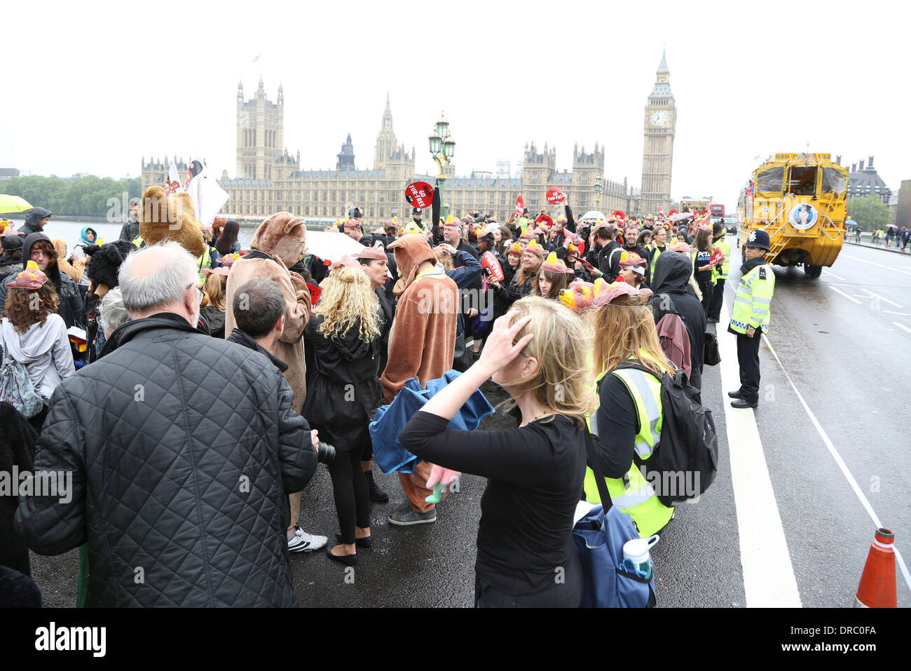 Protesters Bill Oddie leads a bear-masked PETA protest march against ...