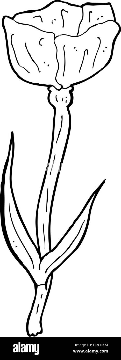 Cartoon poppy flower Black and White Stock Photos & Images - Alamy