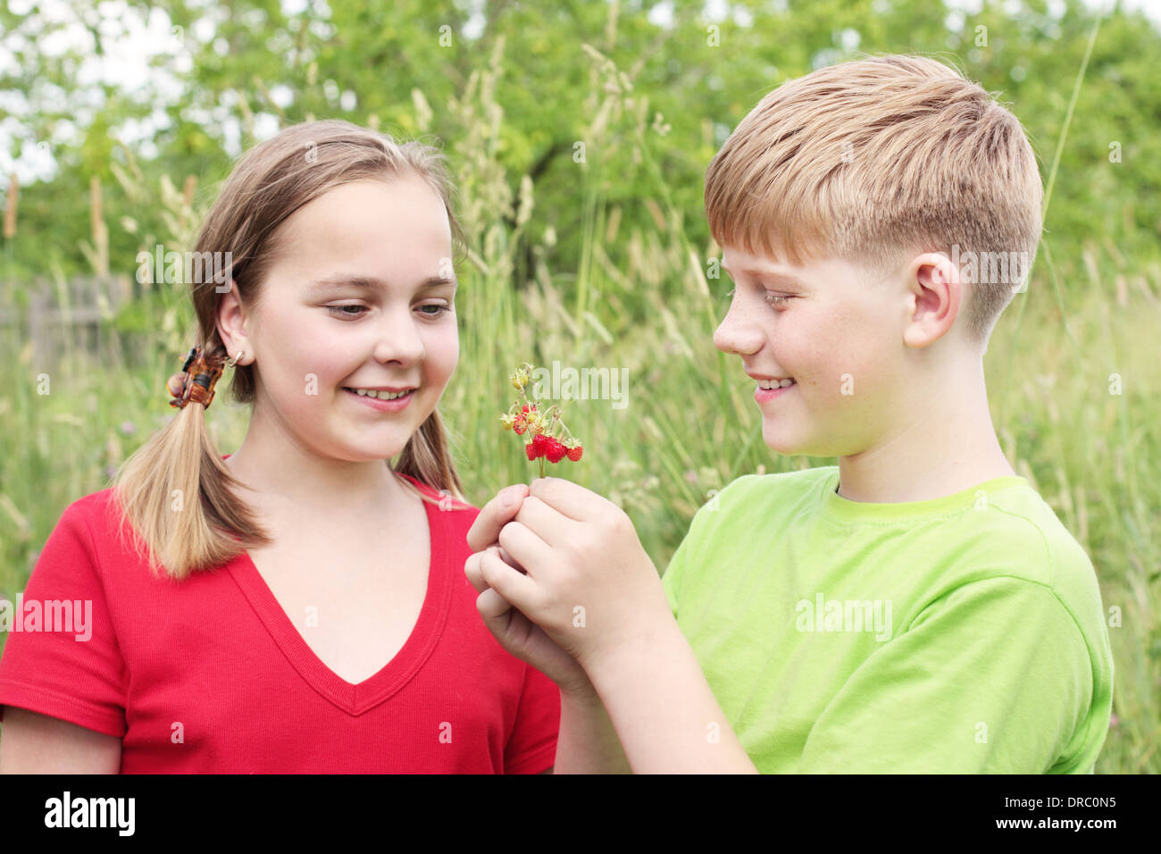 children with berries outdoor Stock Photo - Alamy