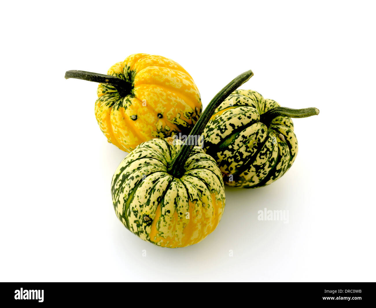 pumpkin and squash Stock Photo - Alamy