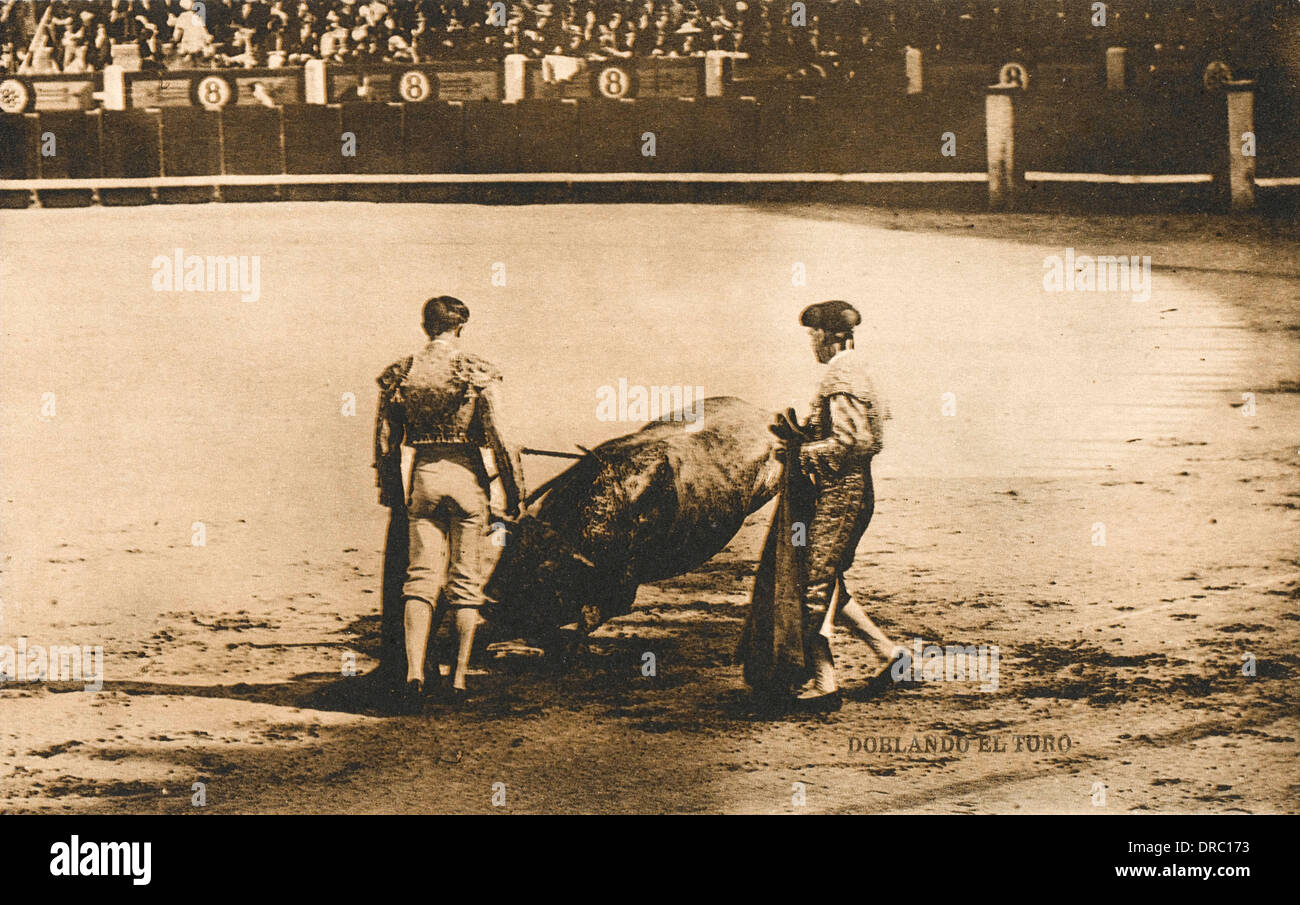 Dead matador hi-res stock photography and images - Alamy