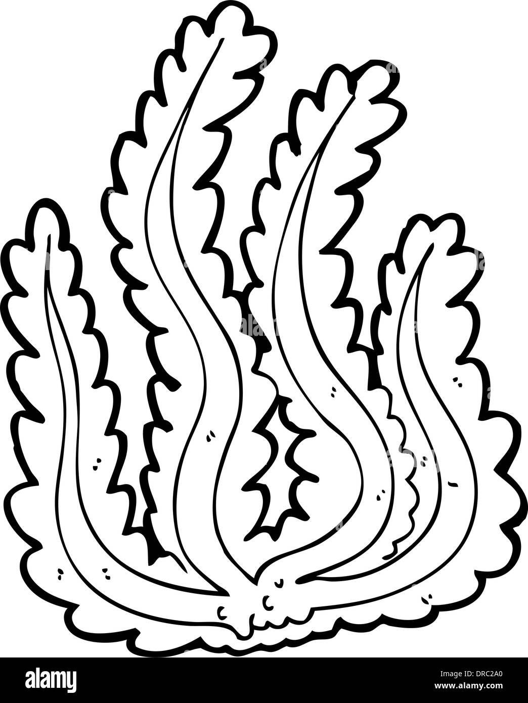 Cartoon seaweed Black and White Stock Photos & Images - Alamy