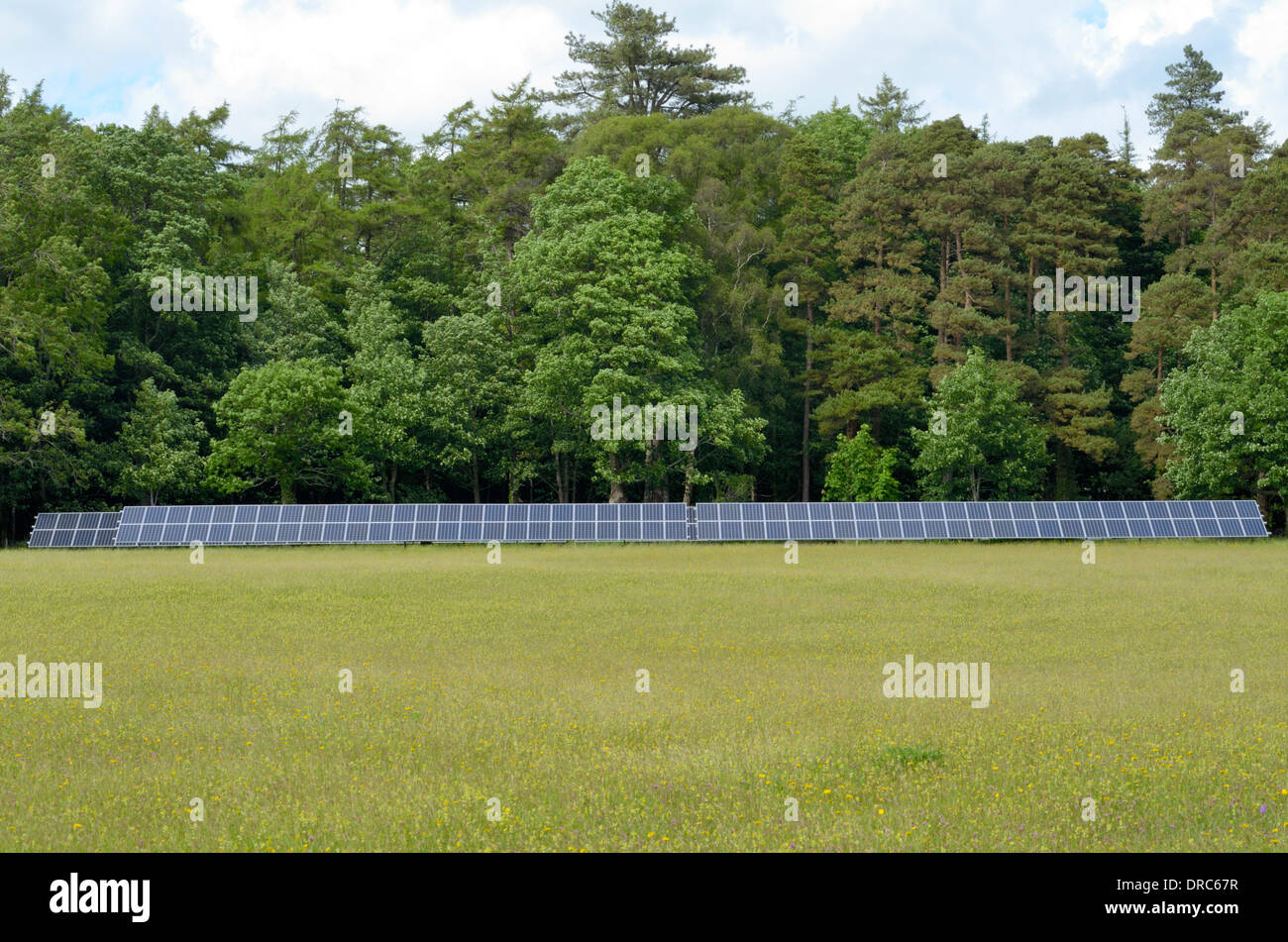 Solar meadow hi-res stock photography and images - Alamy
