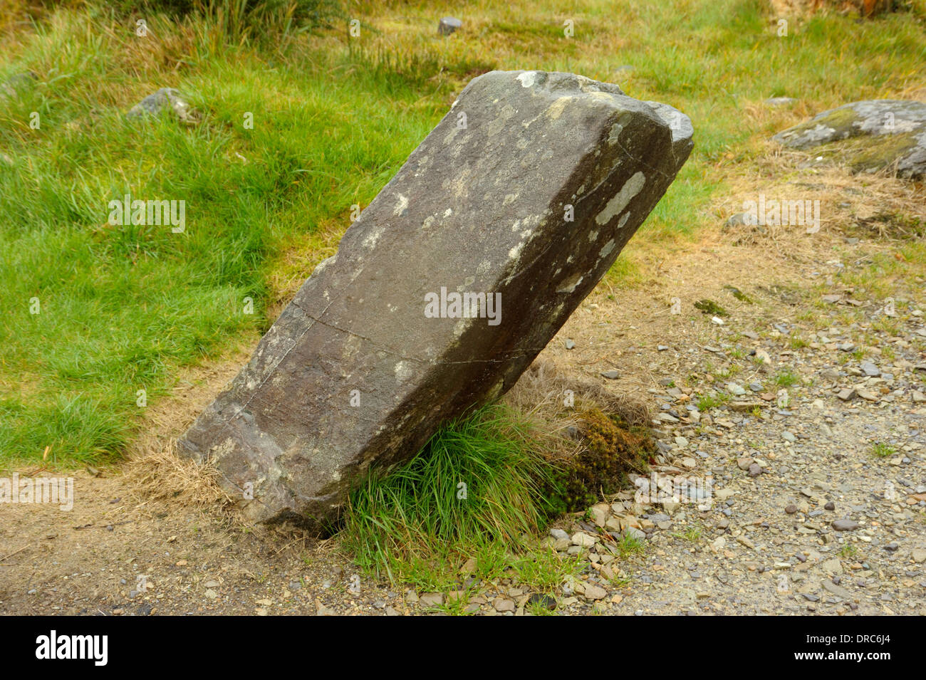 Standing Stone at Bonane Heritage Park Stock Photo - Alamy