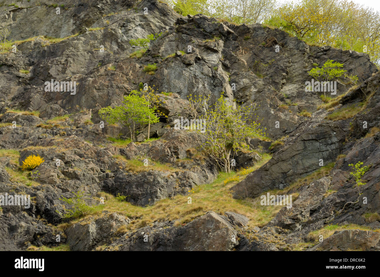 Stanner rocks national nature reserve hi-res stock photography and ...