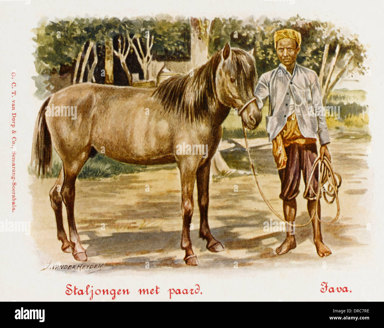 Java - Indonesia - Stableboy with horse Stock Photo - Alamy