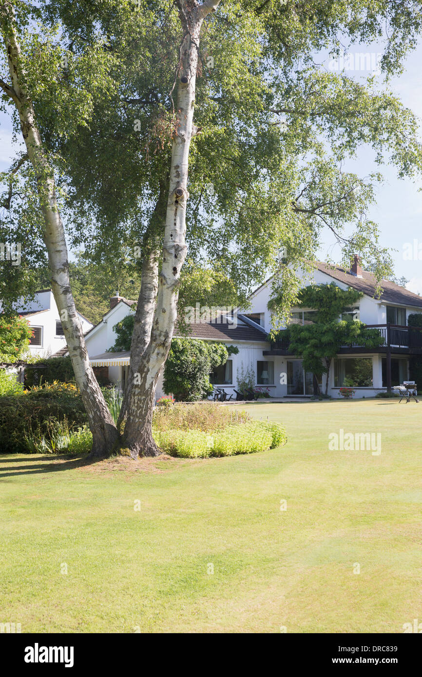 Trees in backyard of house Stock Photo - Alamy