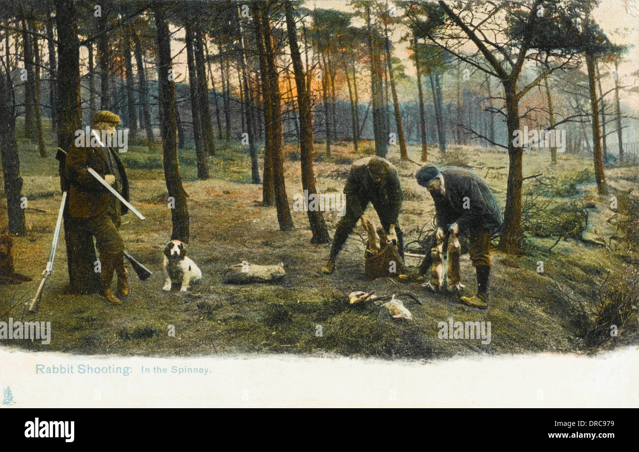 Rabbit Hunting In Winter Paintings