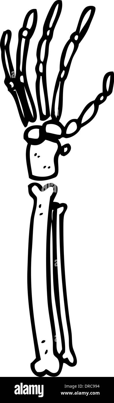 cartoon skeleton hand Stock Vector Image & Art - Alamy