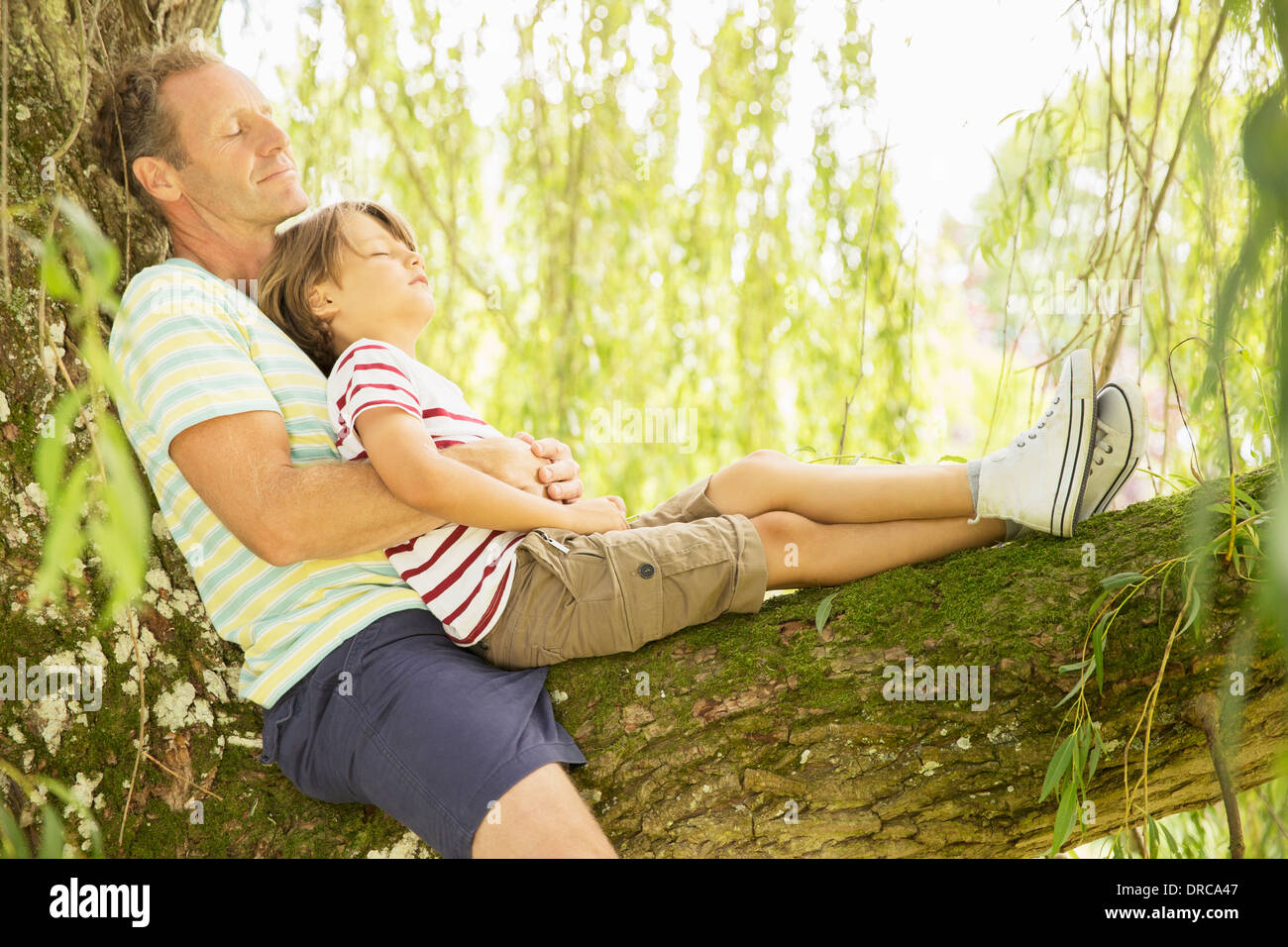 Father and son relaxing in tree Stock Photo - Alamy