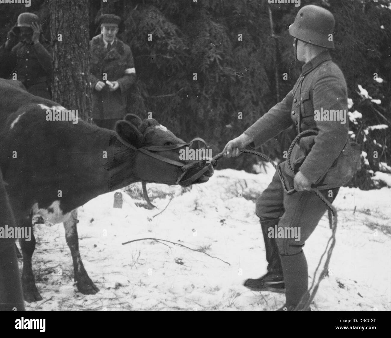 Mannerheim hi-res stock photography and images - Alamy