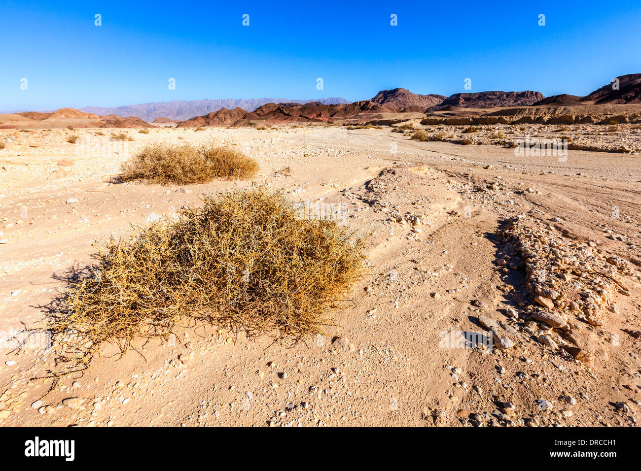 Timna national park hi-res stock photography and images - Alamy