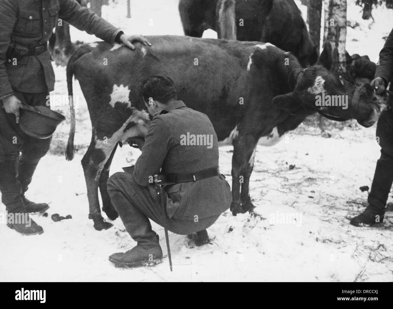 Mannerheim line WWII Stock Photo - Alamy
