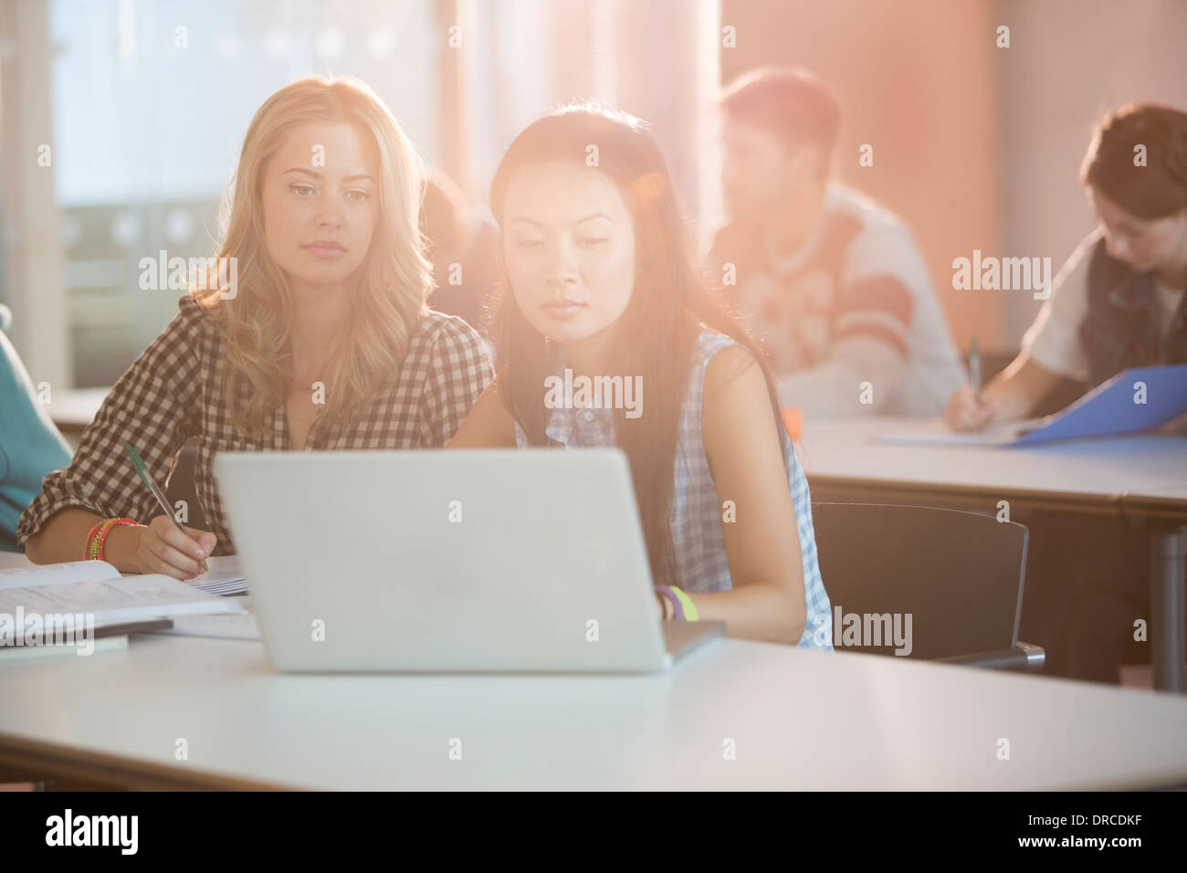 University students using laptop in classroom Stock Photo - Alamy