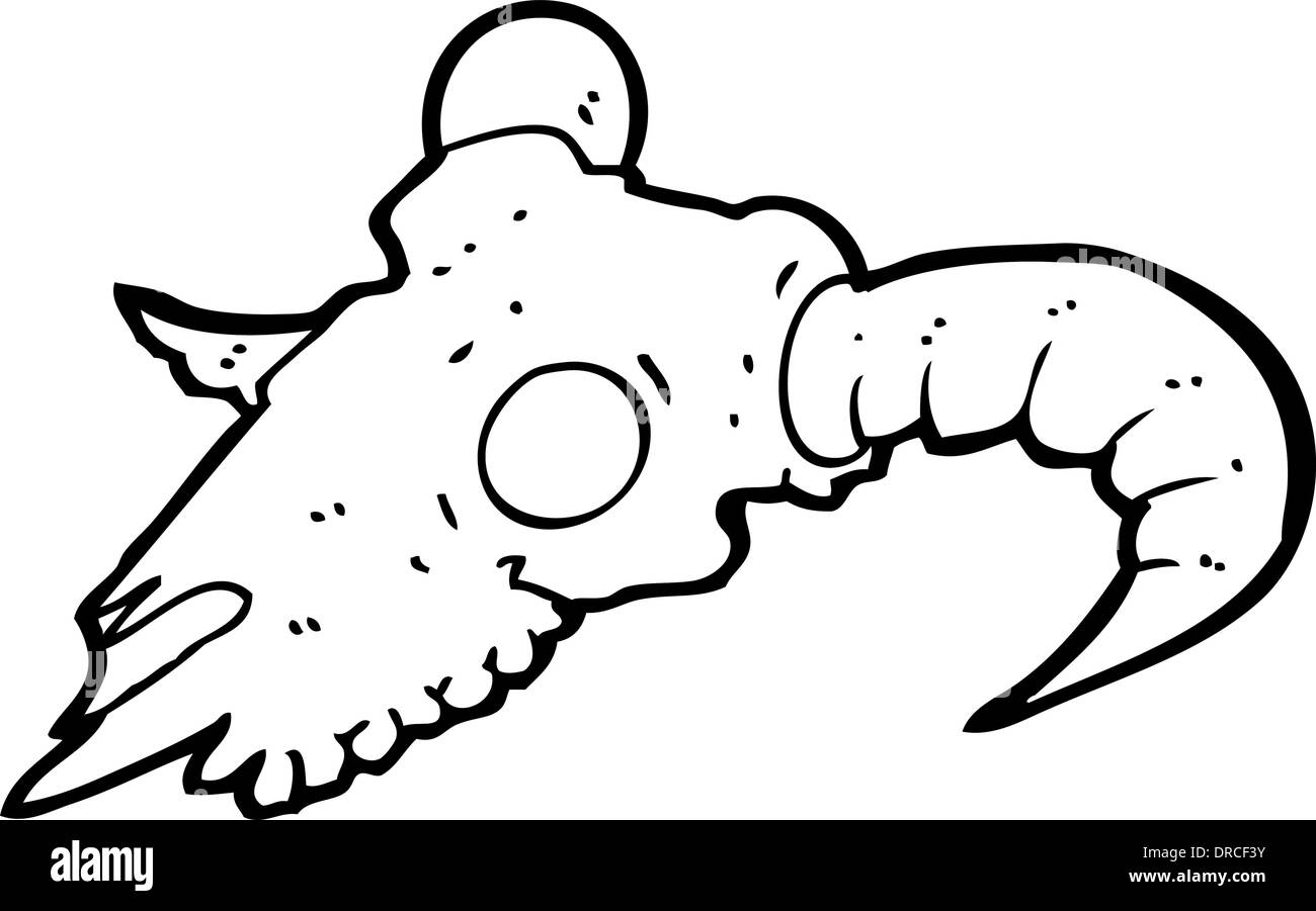 cartoon ram skull Stock Vector Image & Art - Alamy