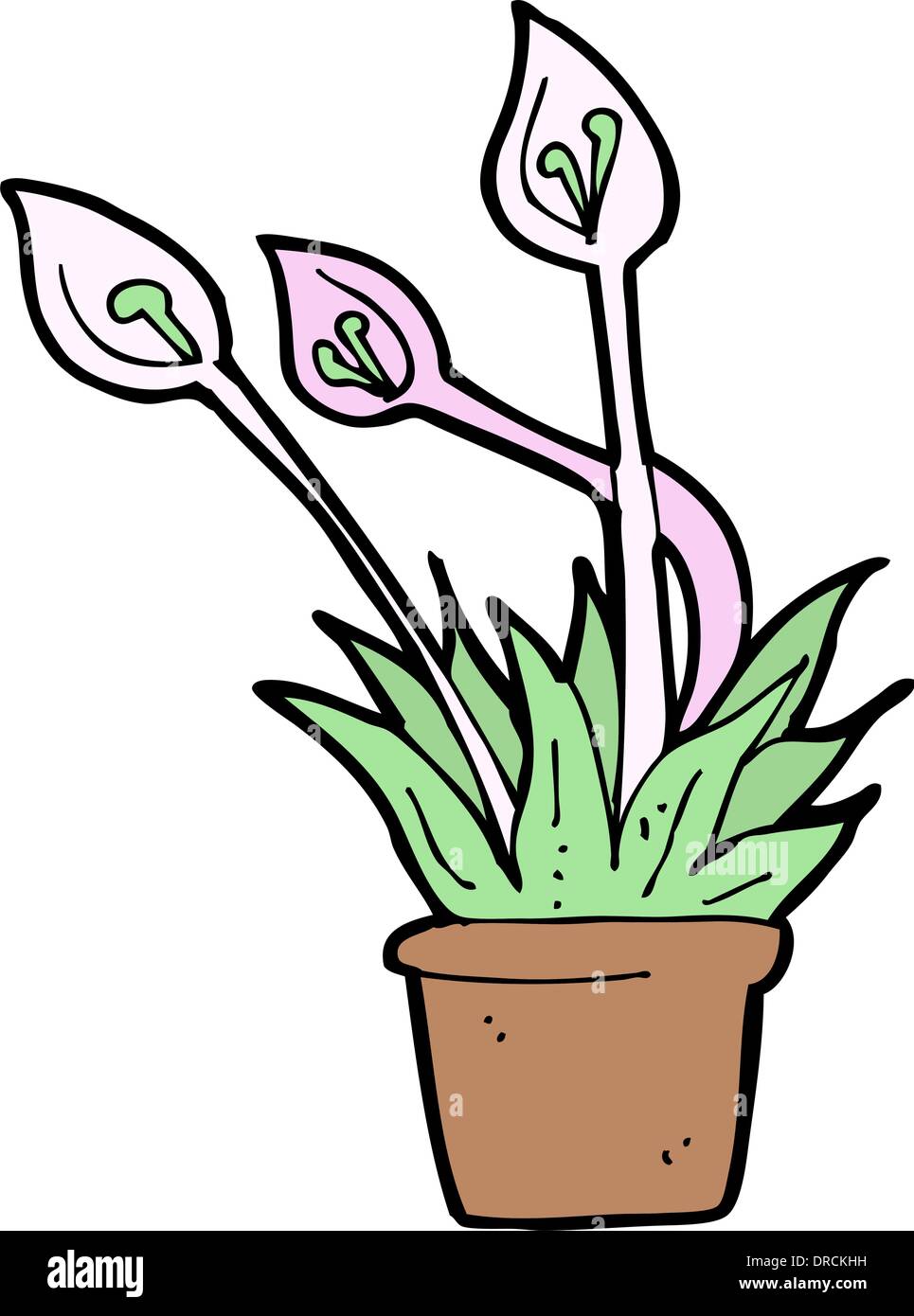 cartoon orchid plant Stock Vector Image & Art - Alamy