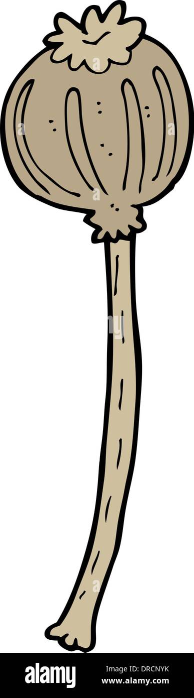 cartoon dried poppy Stock Vector Image & Art - Alamy