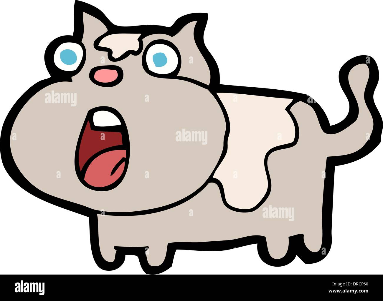 cartoon shocked cat Stock Vector Image & Art - Alamy