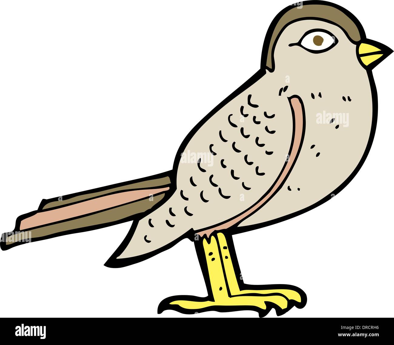 cartoon garden bird Stock Vector Image & Art - Alamy