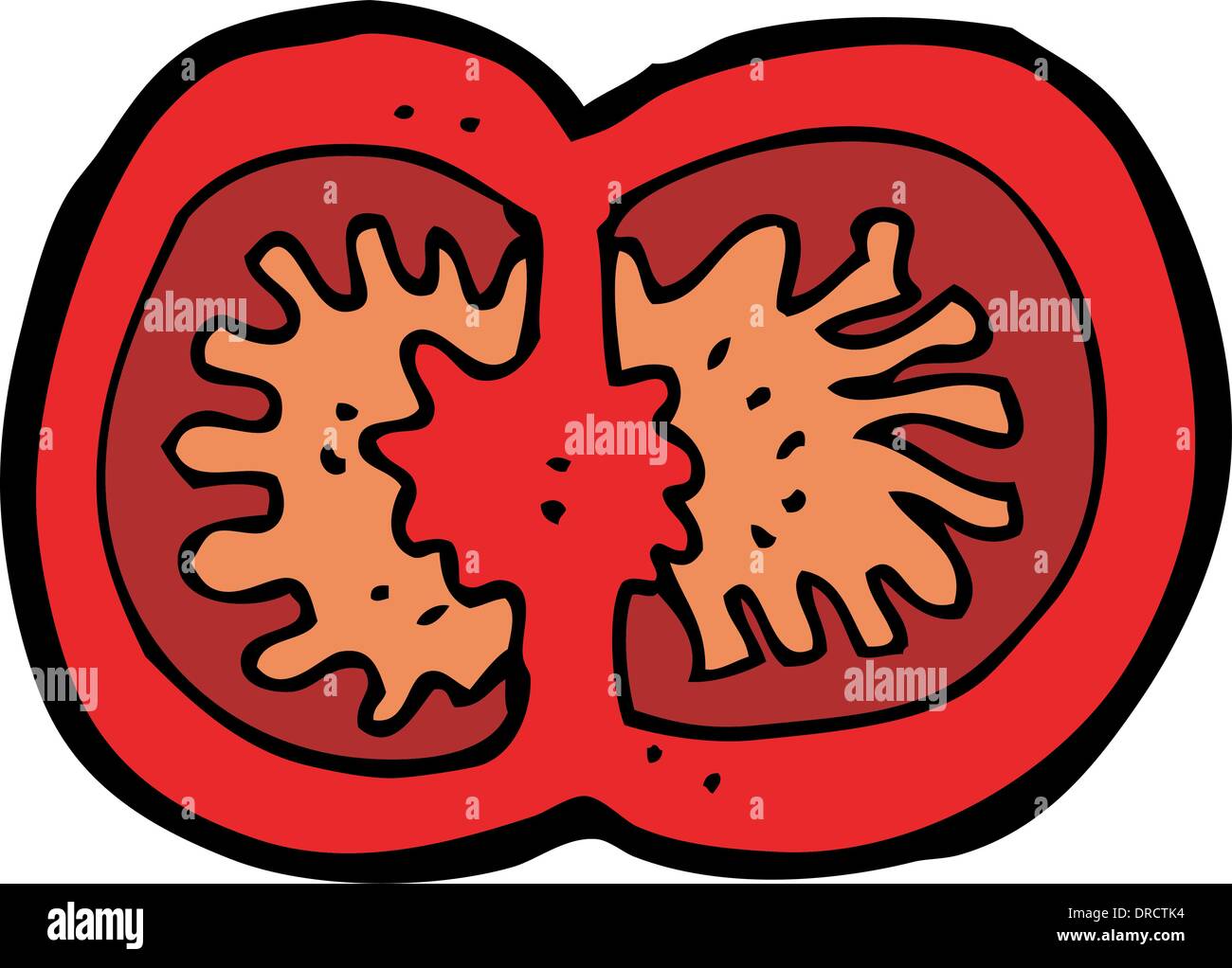 cartoon sliced tomato Stock Vector Image & Art - Alamy