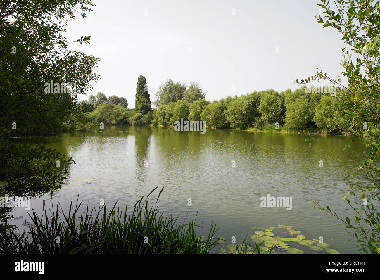 View of lake Stock Photo - Alamy
