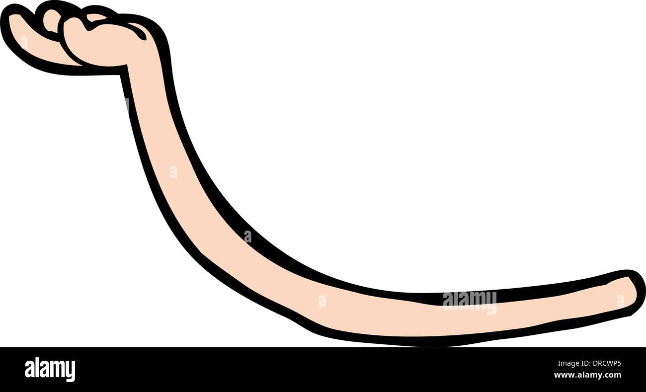 cartoon arm gesture Stock Vector Image & Art - Alamy