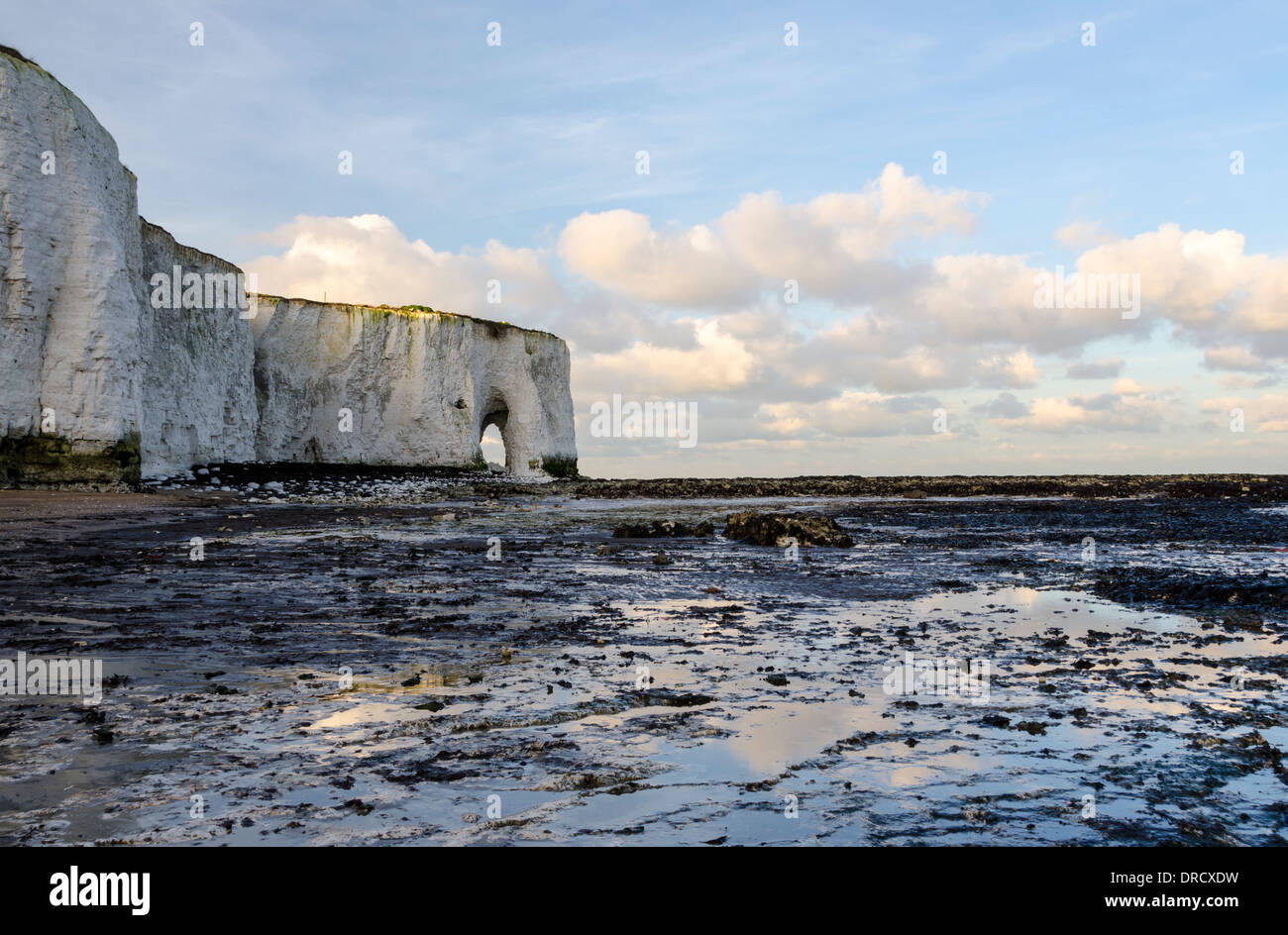 Kingsgate chalk cliffs hi-res stock photography and images - Alamy