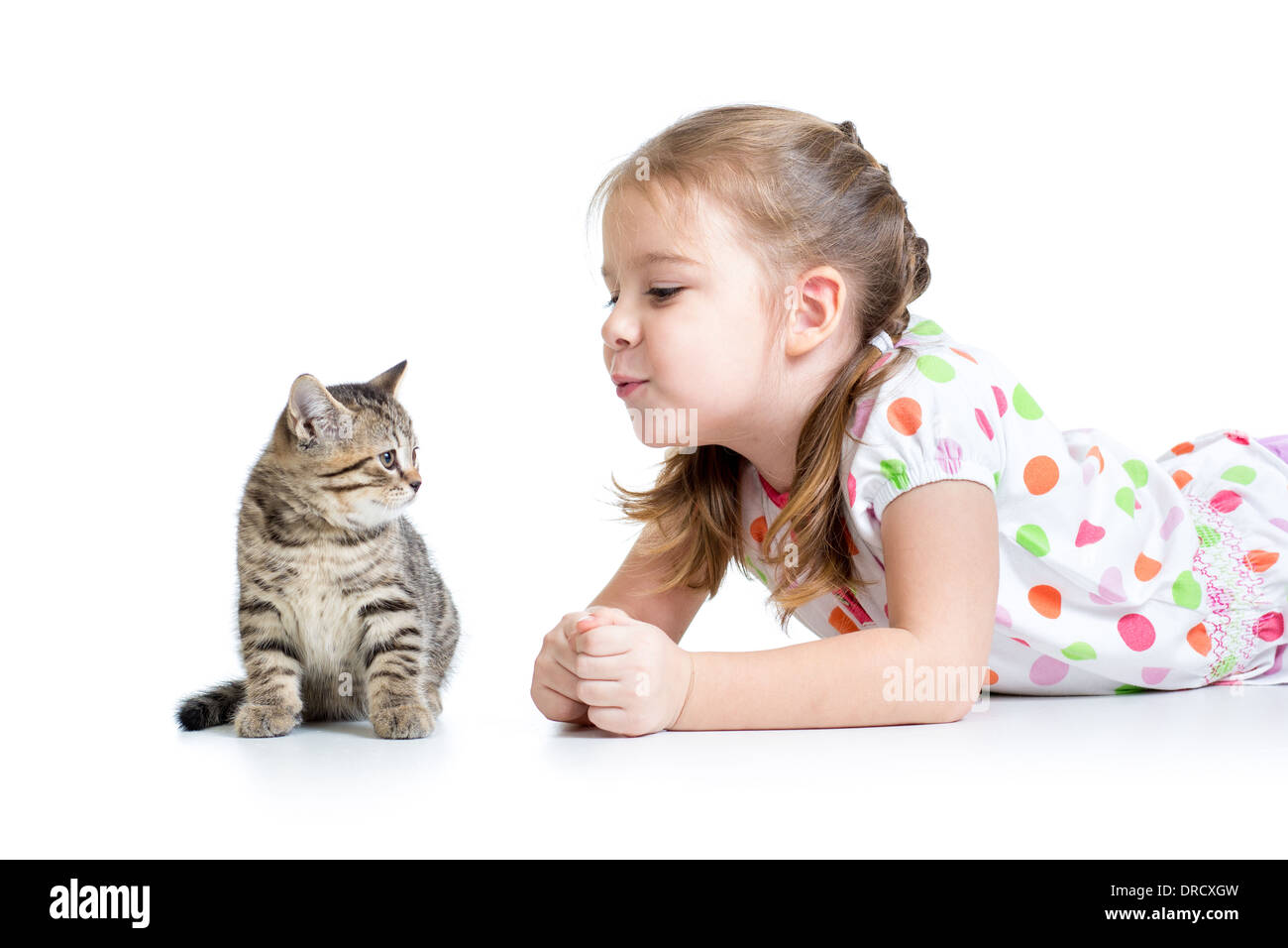 kid playing with cat kitten Stock Photo - Alamy