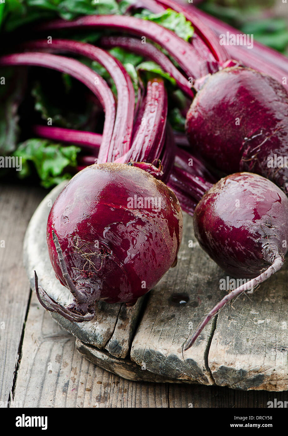 A freshly picked bunch of beetroot Stock Photo - Alamy