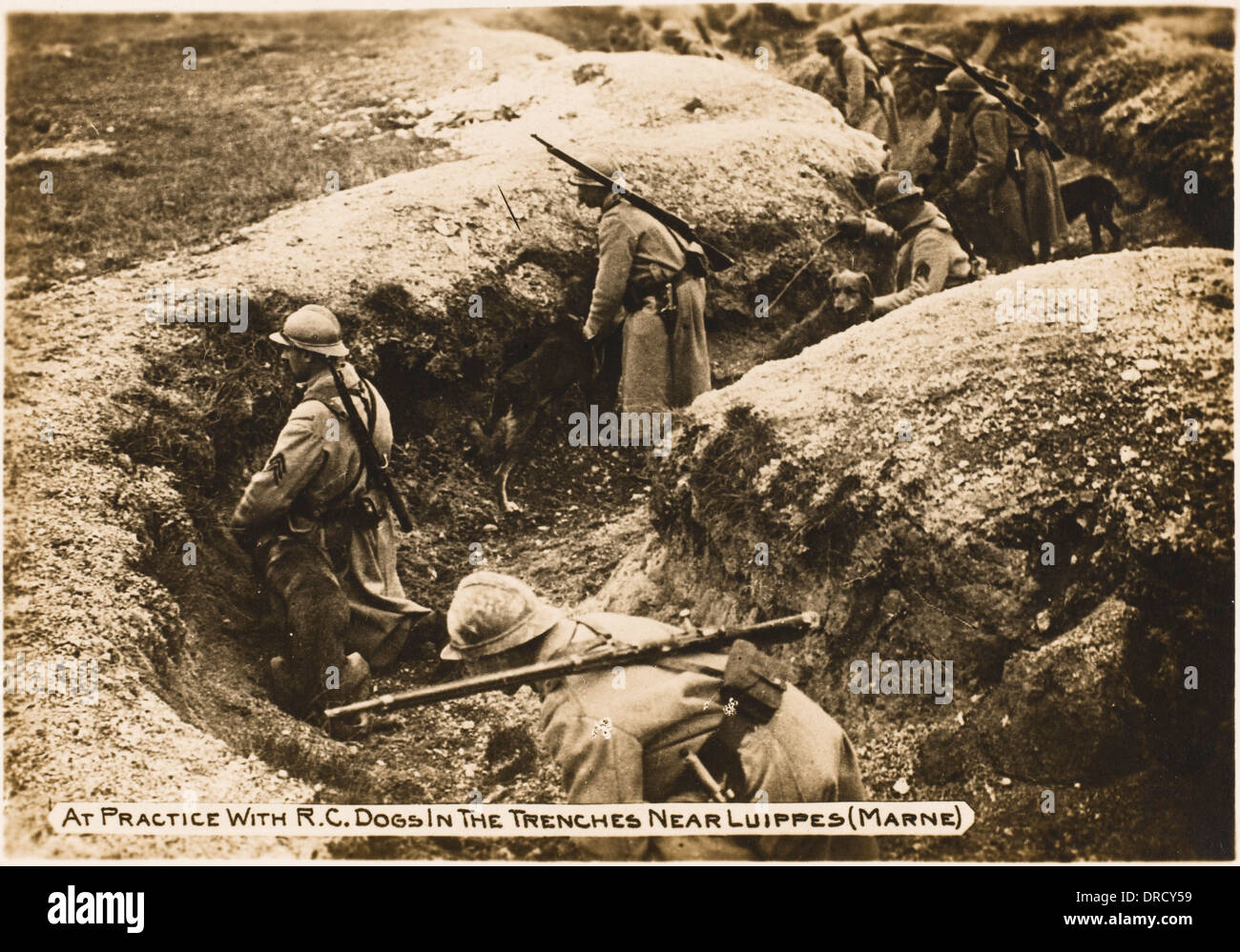 Ww1 trenches hi-res stock photography and images - Alamy