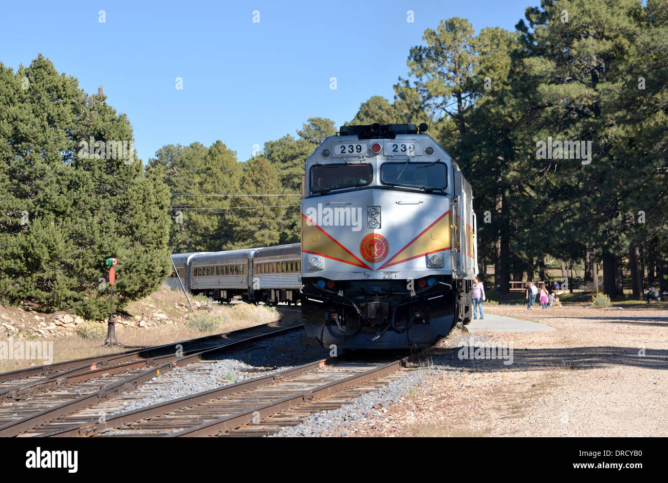 Grand Canyon Railway loco 239, a 1977 Amtrak diesel built by General ...