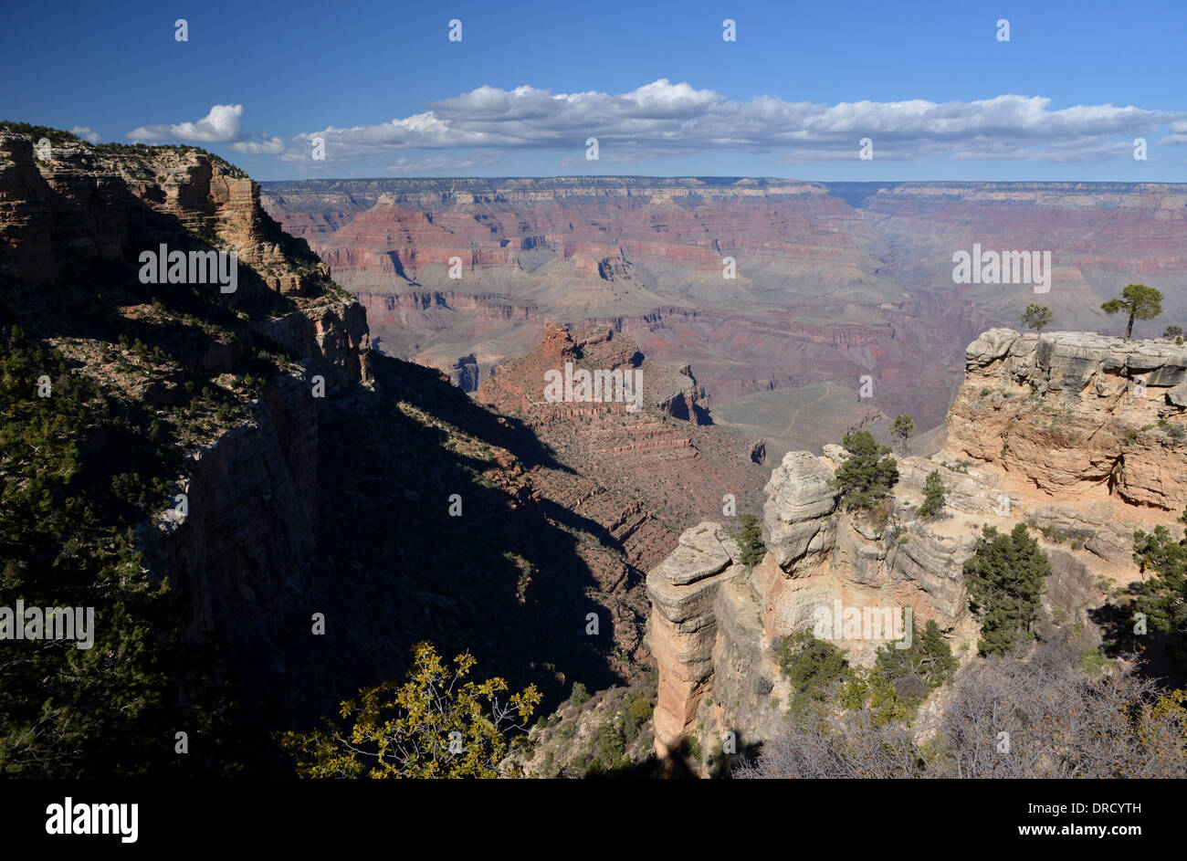The Grand Canyon, a natural wonder of the world in Arizona USA Stock ...