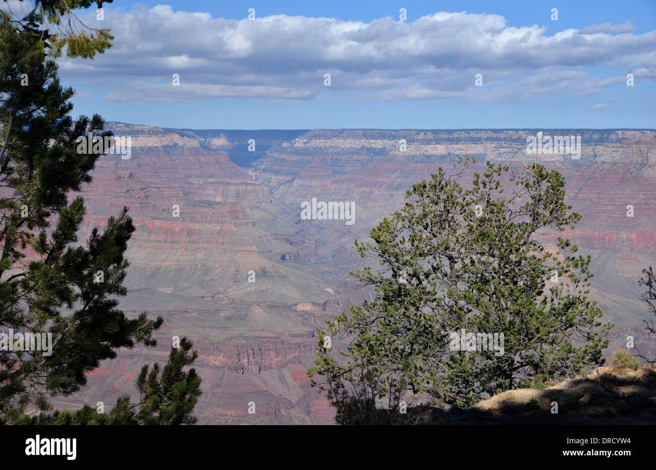The Grand Canyon, a natural wonder of the world in Arizona USA Stock ...