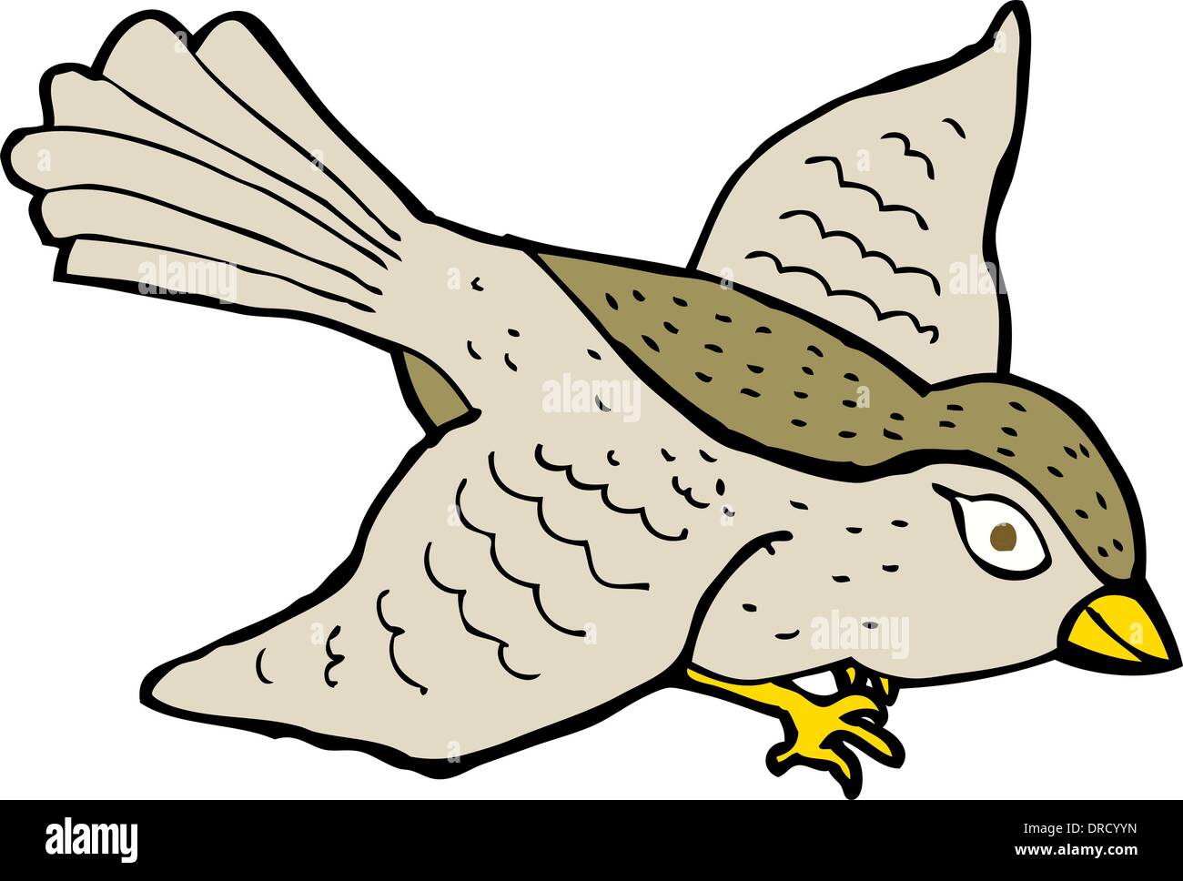 cartoon flying bird Stock Vector Image & Art - Alamy