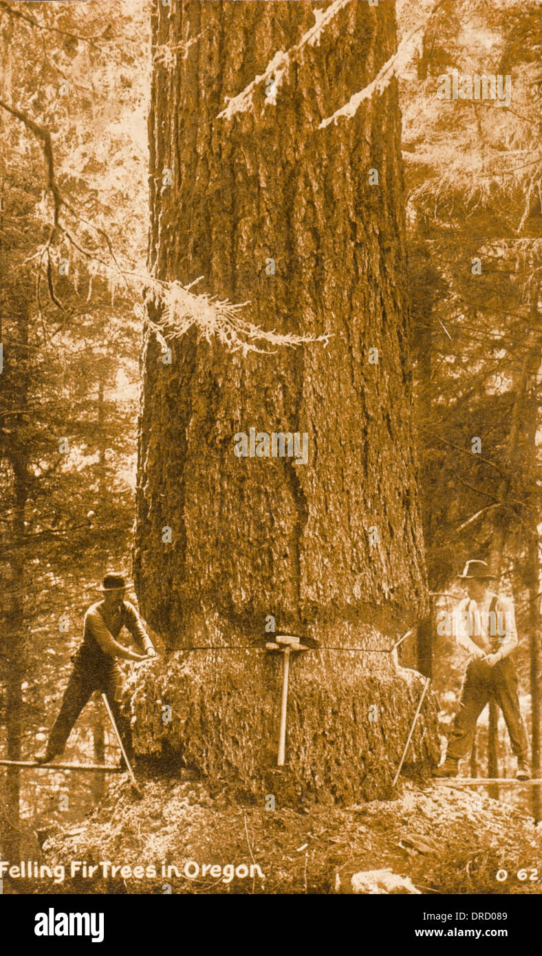 Fellling hi-res stock photography and images - Alamy