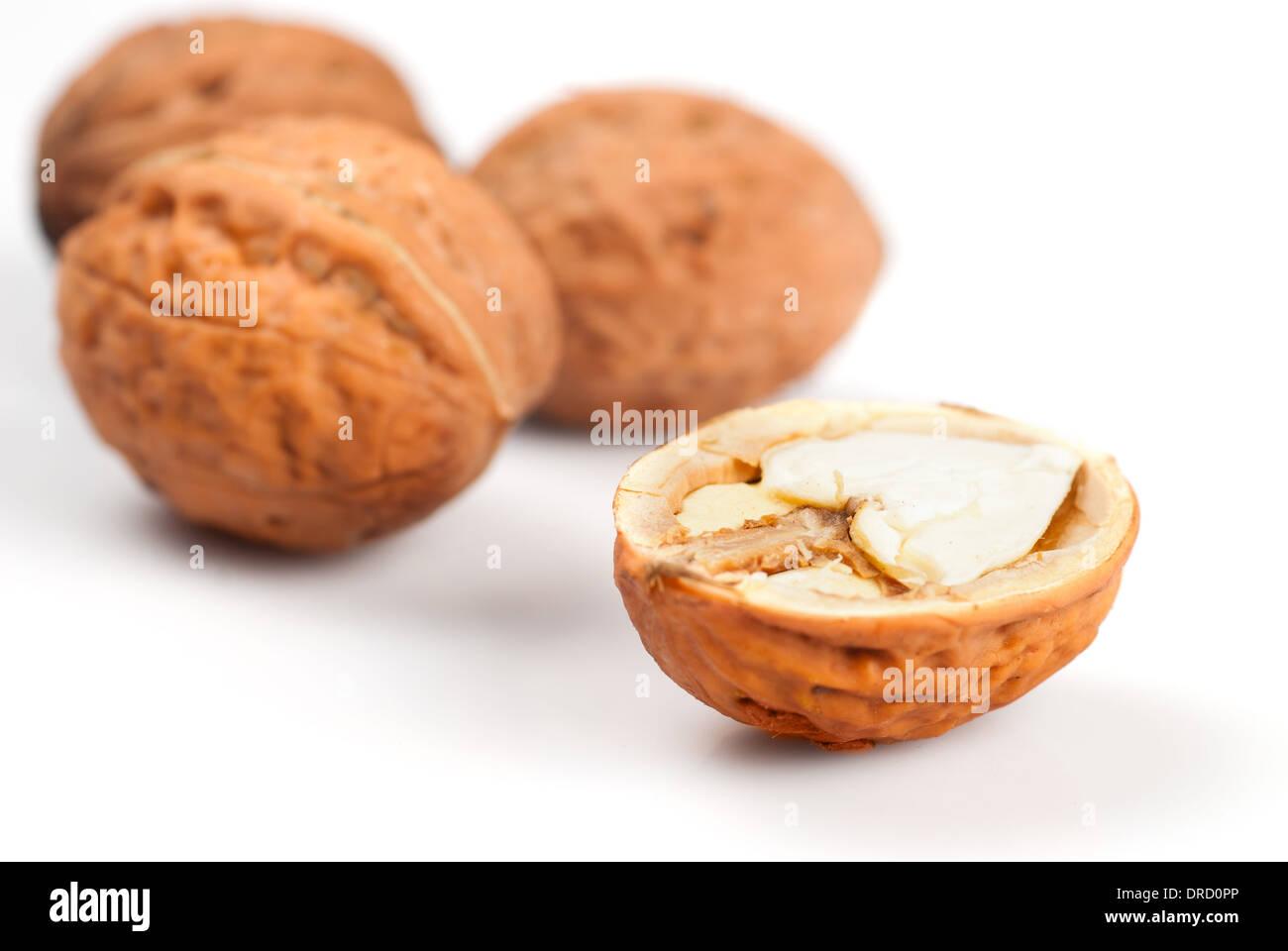 walnut and part of fresh nut isolated on white background Stock Photo ...