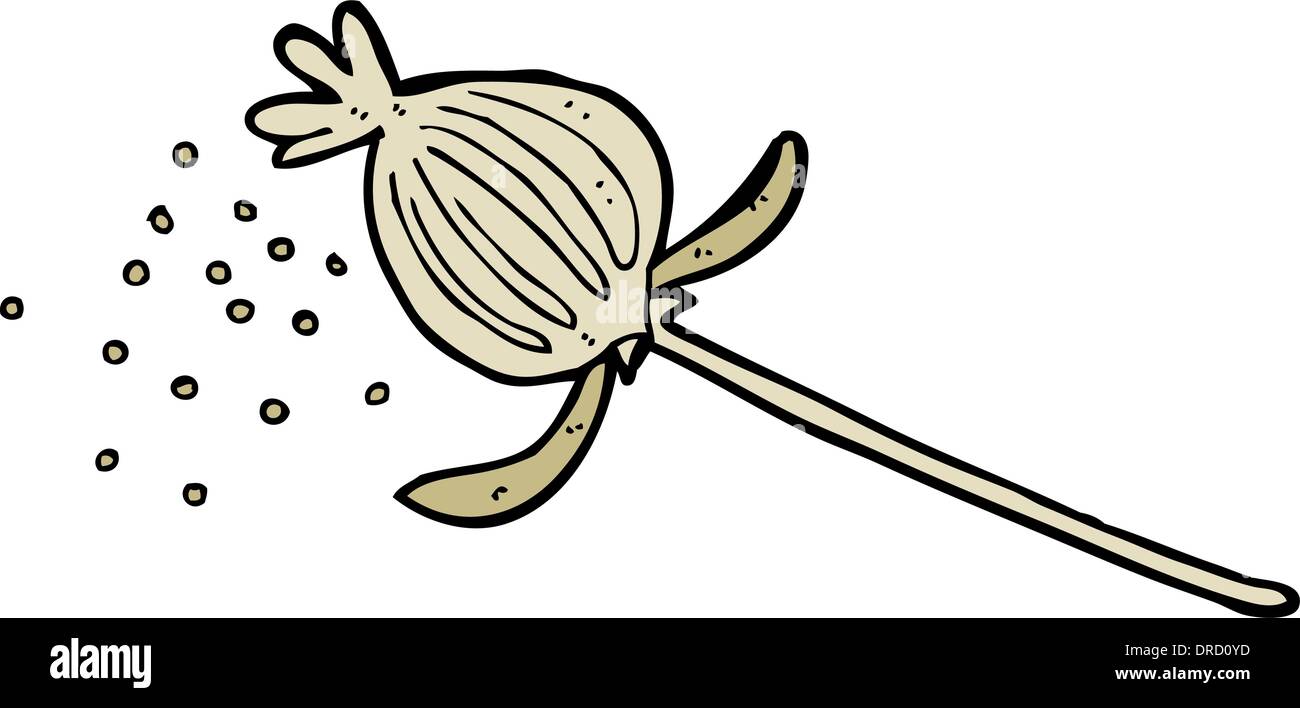 cartoon dried poppy flower Stock Vector Image & Art - Alamy