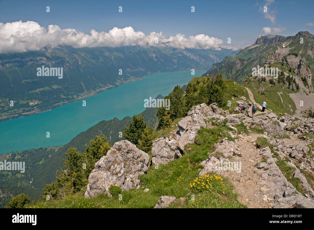 Lake Brienz viewed from the Schynige Platte Stock Photo - Alamy