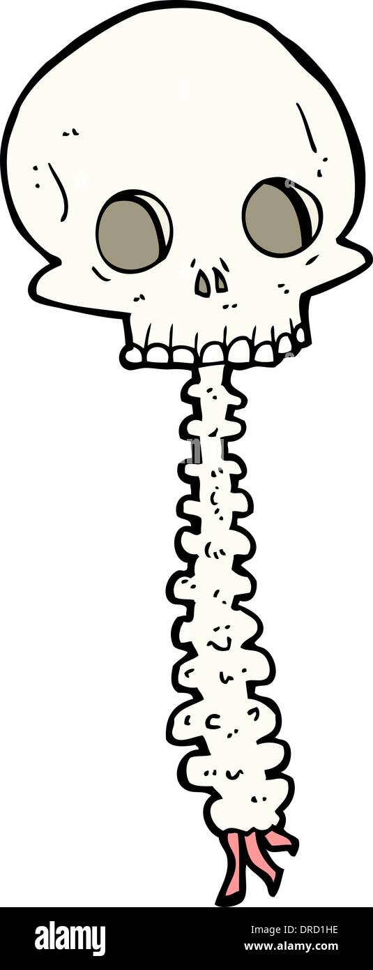 spooky cartoon skull and spine Stock Vector Image & Art - Alamy