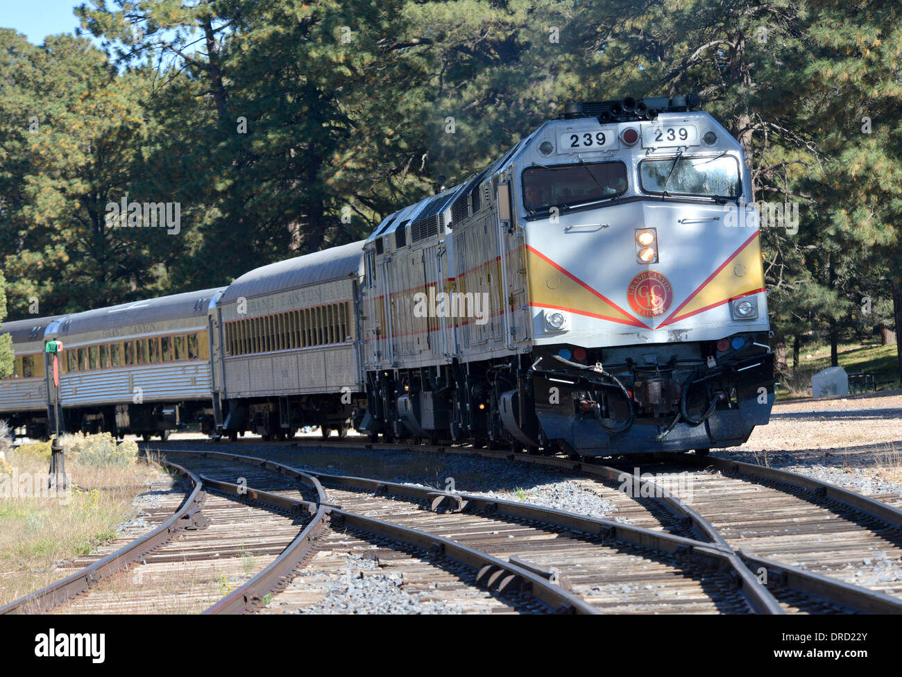 Grand Canyon Railway loco 239, a 1977 Amtrak diesel built by General ...